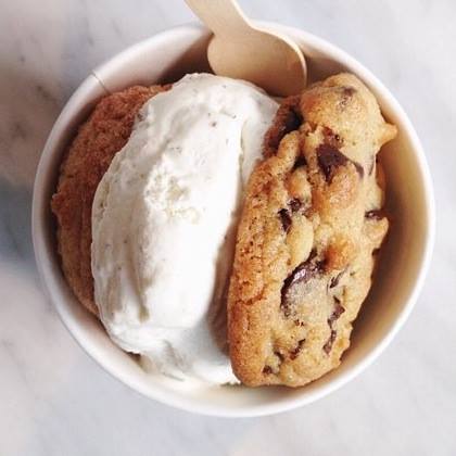 Hello Robin, mother of the Mackles’more | CHS Capitol Hill Seattle News