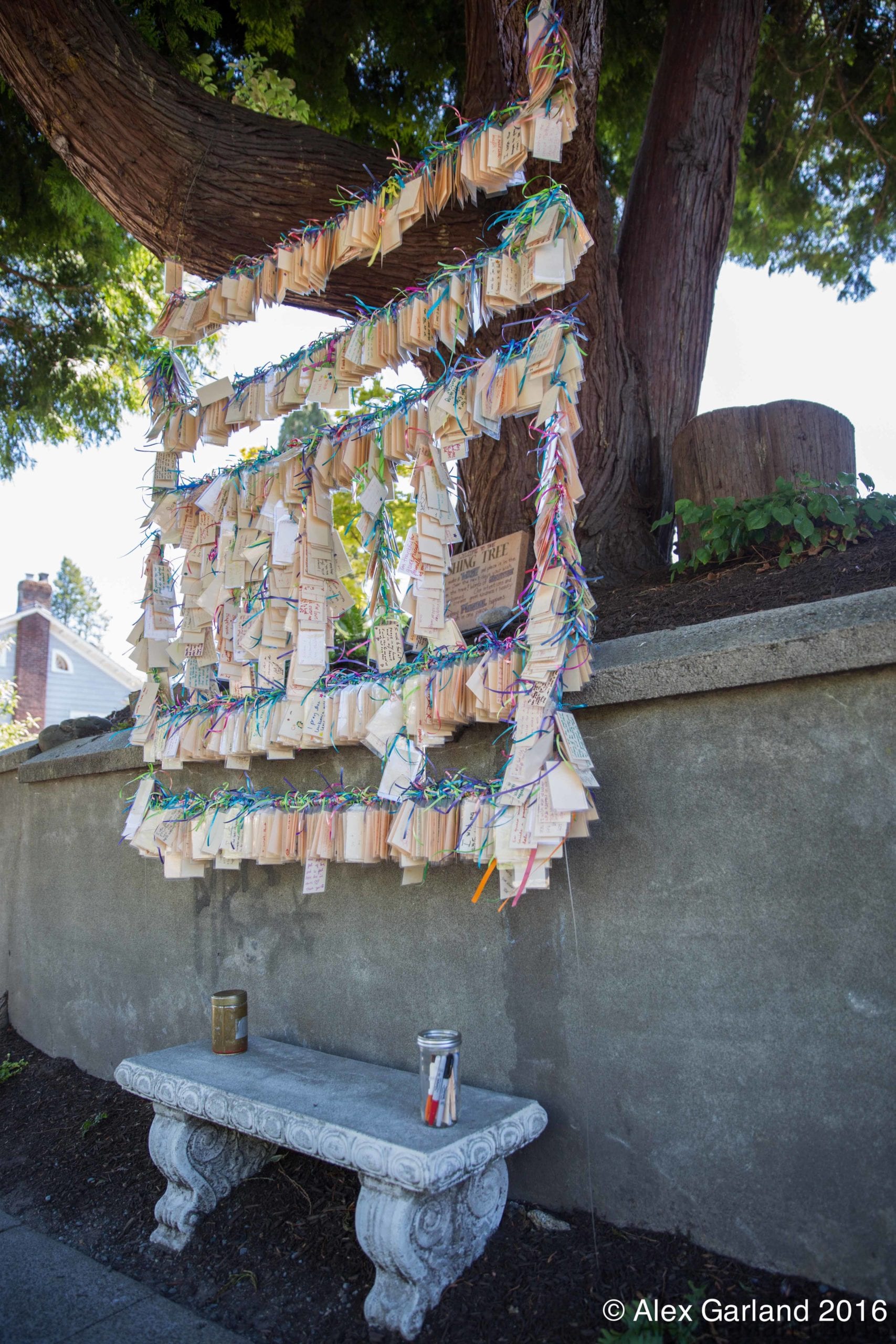 The Capitol Hill Wishing Tree | CHS Capitol Hill Seattle News