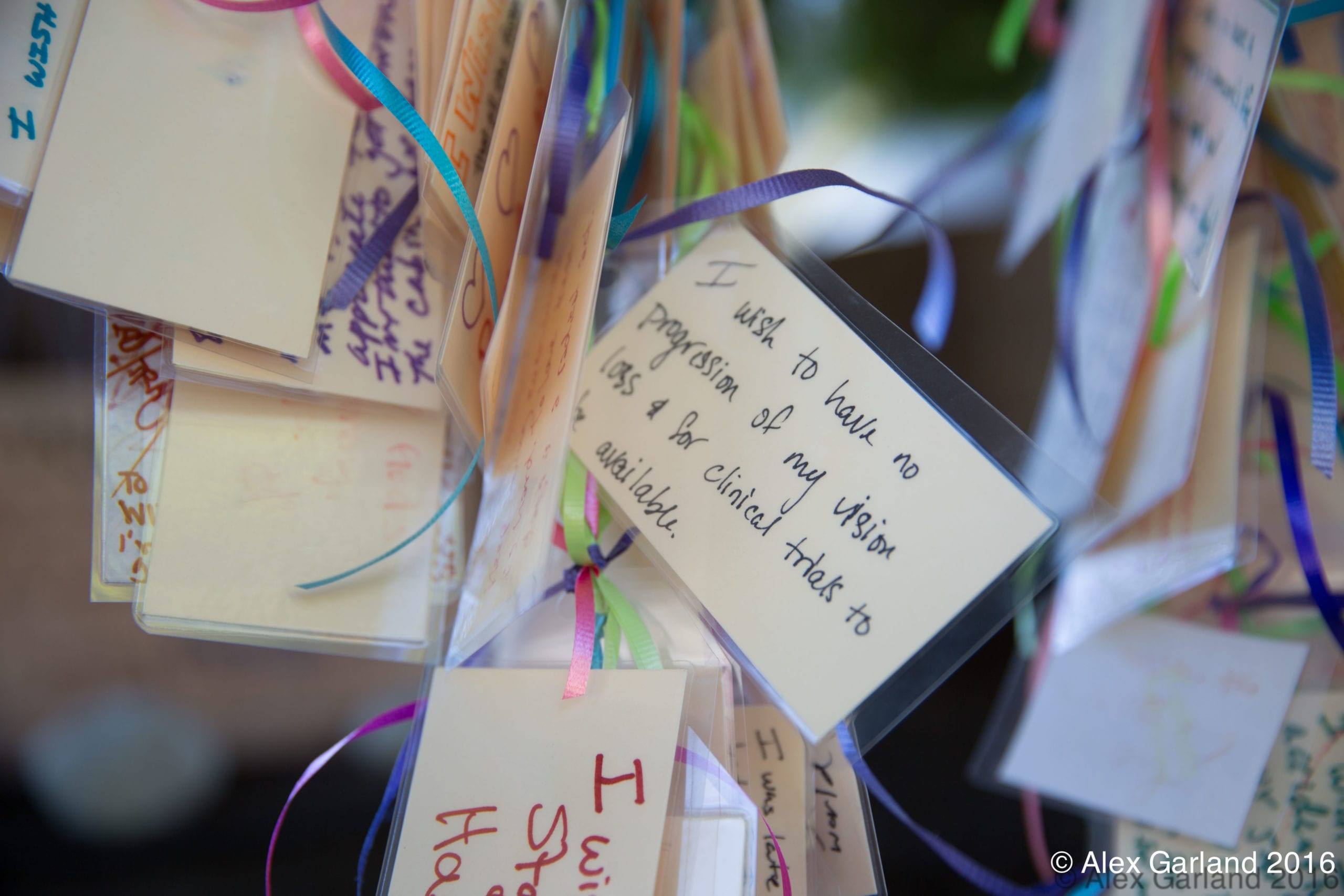 The Capitol Hill Wishing Tree | CHS Capitol Hill Seattle