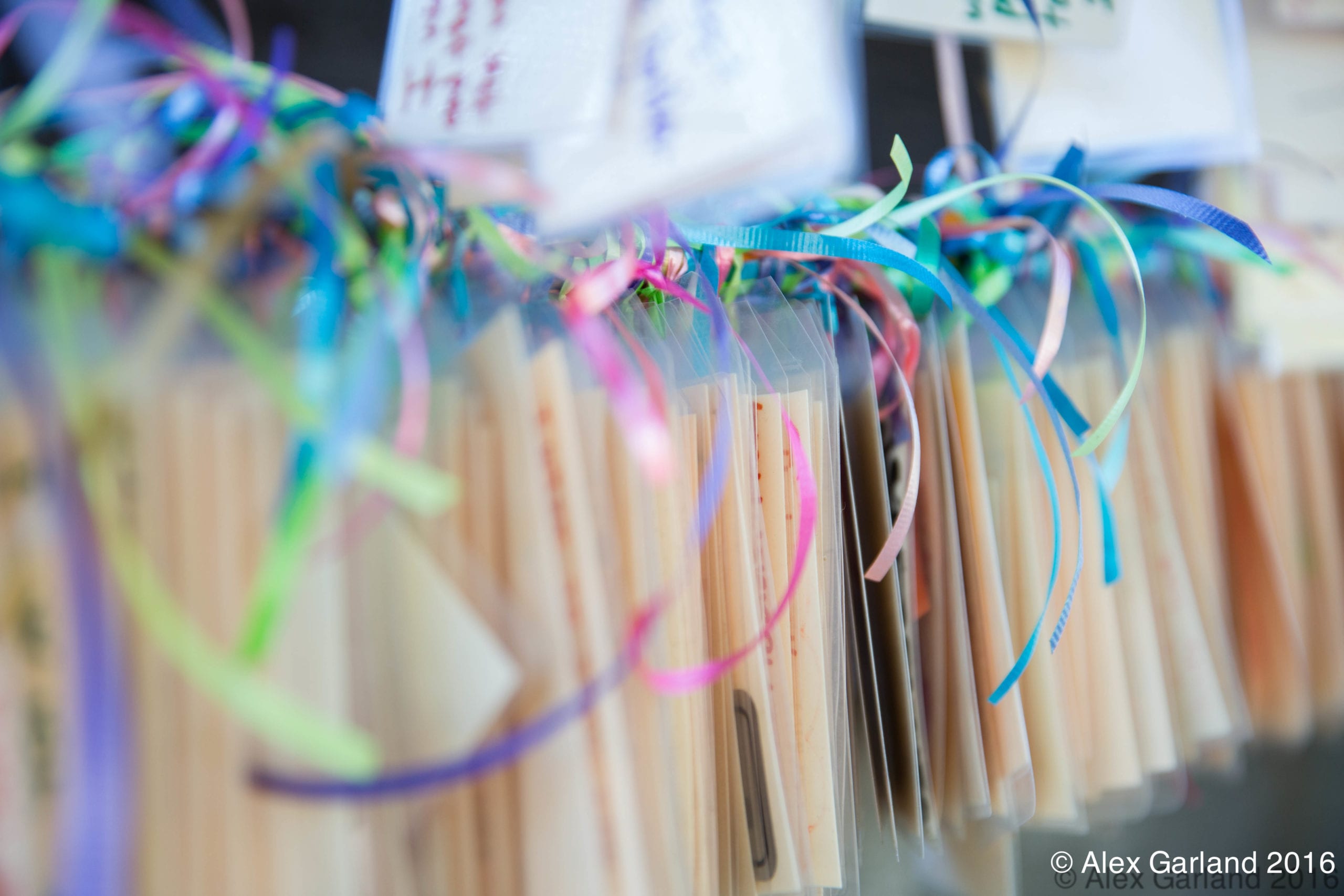 The Capitol Hill Wishing Tree | CHS Capitol Hill Seattle News