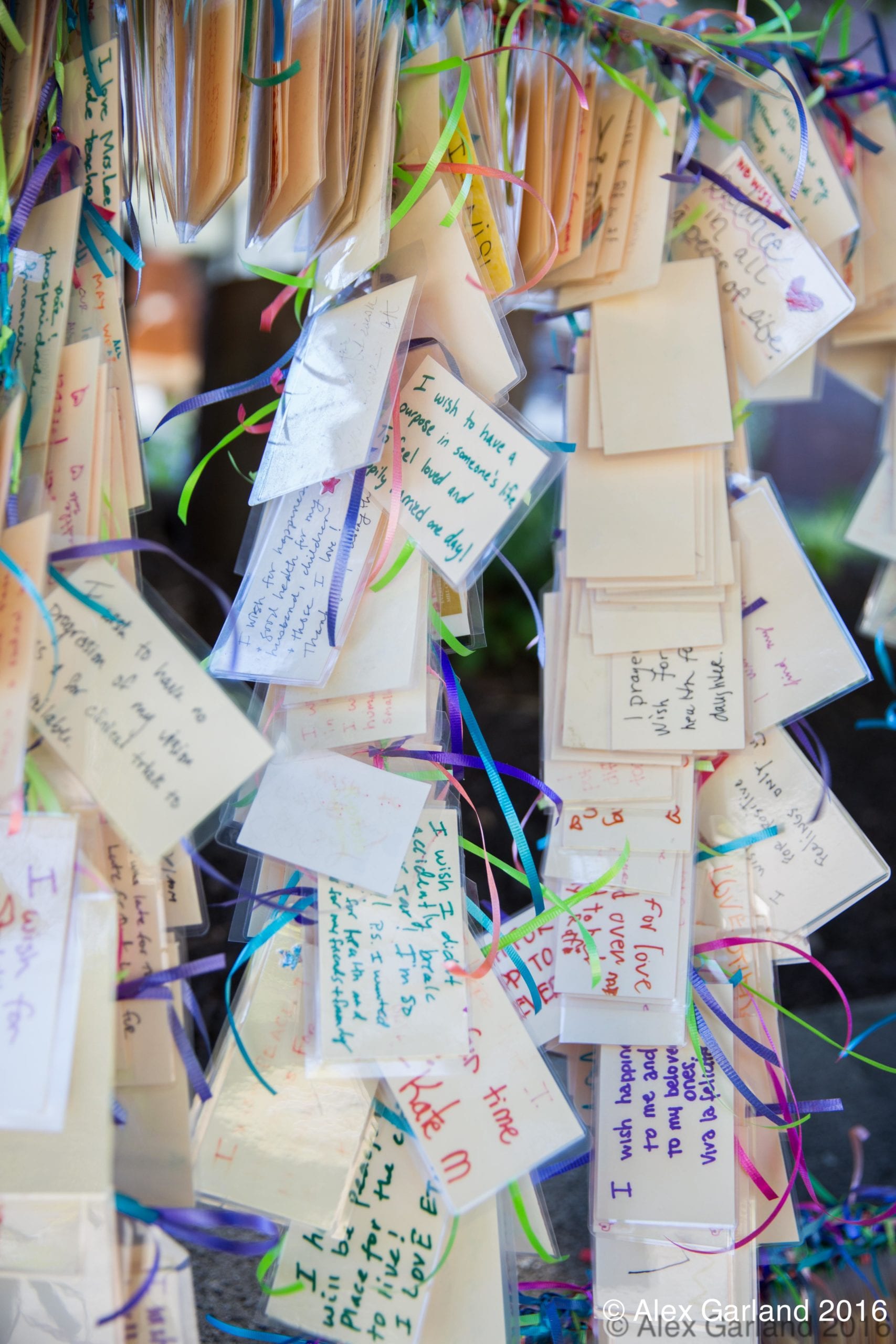 The Capitol Hill Wishing Tree | CHS Capitol Hill Seattle News