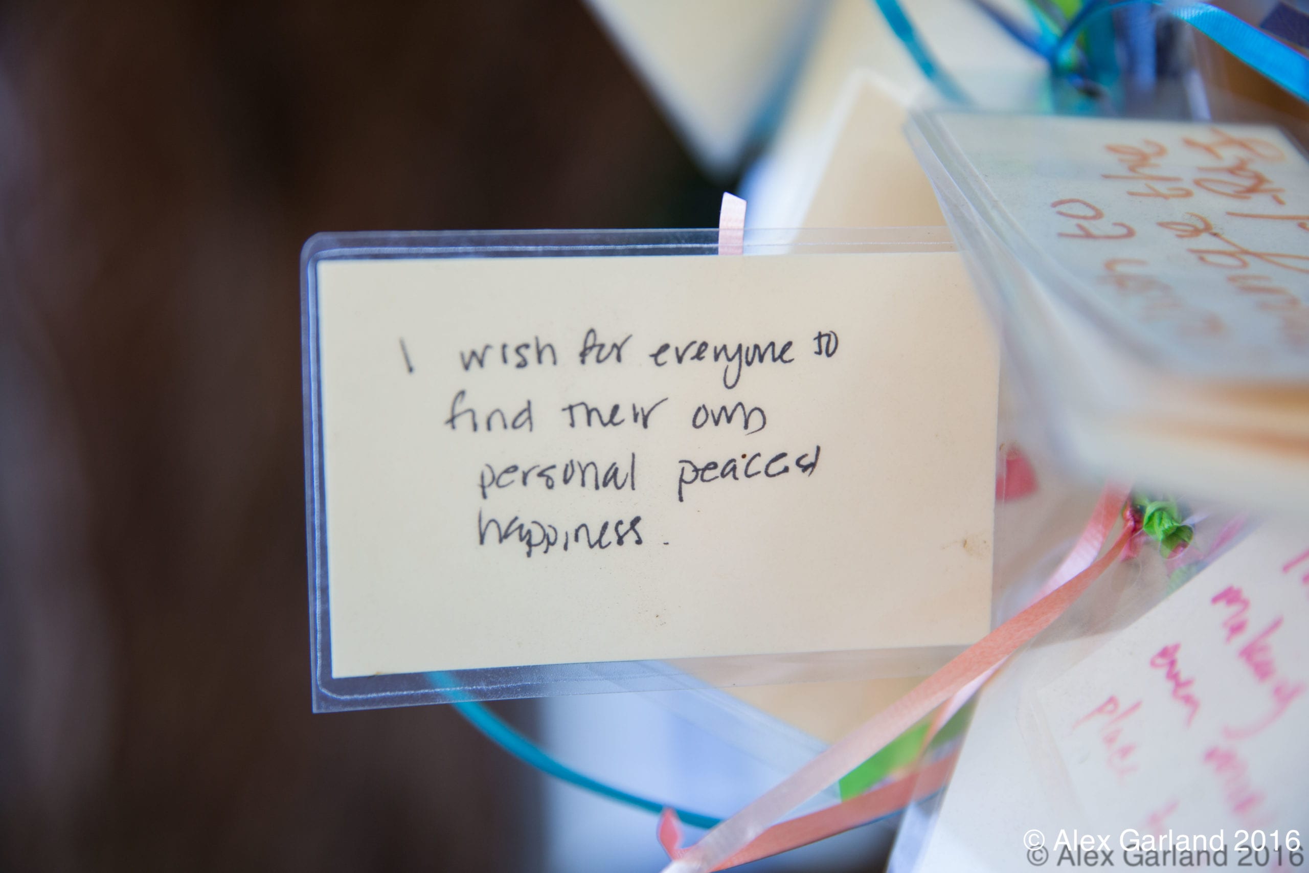 The Capitol Hill Wishing Tree | CHS Capitol Hill Seattle News