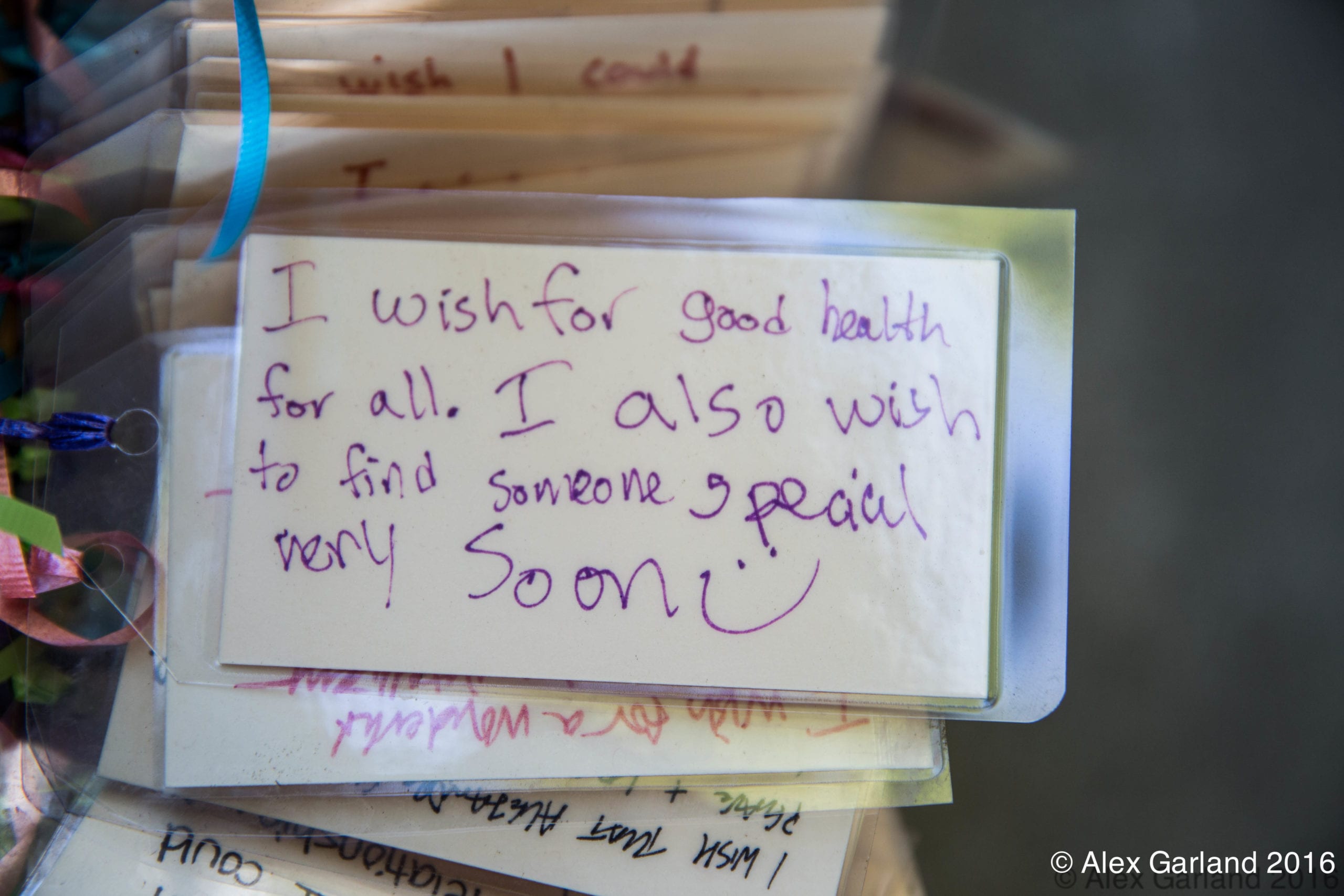 The Capitol Hill Wishing Tree | CHS Capitol Hill Seattle News