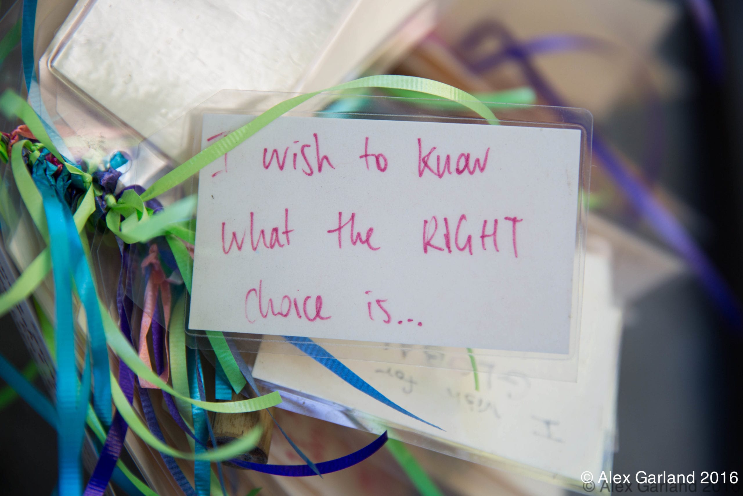 The Capitol Hill Wishing Tree | CHS Capitol Hill Seattle News