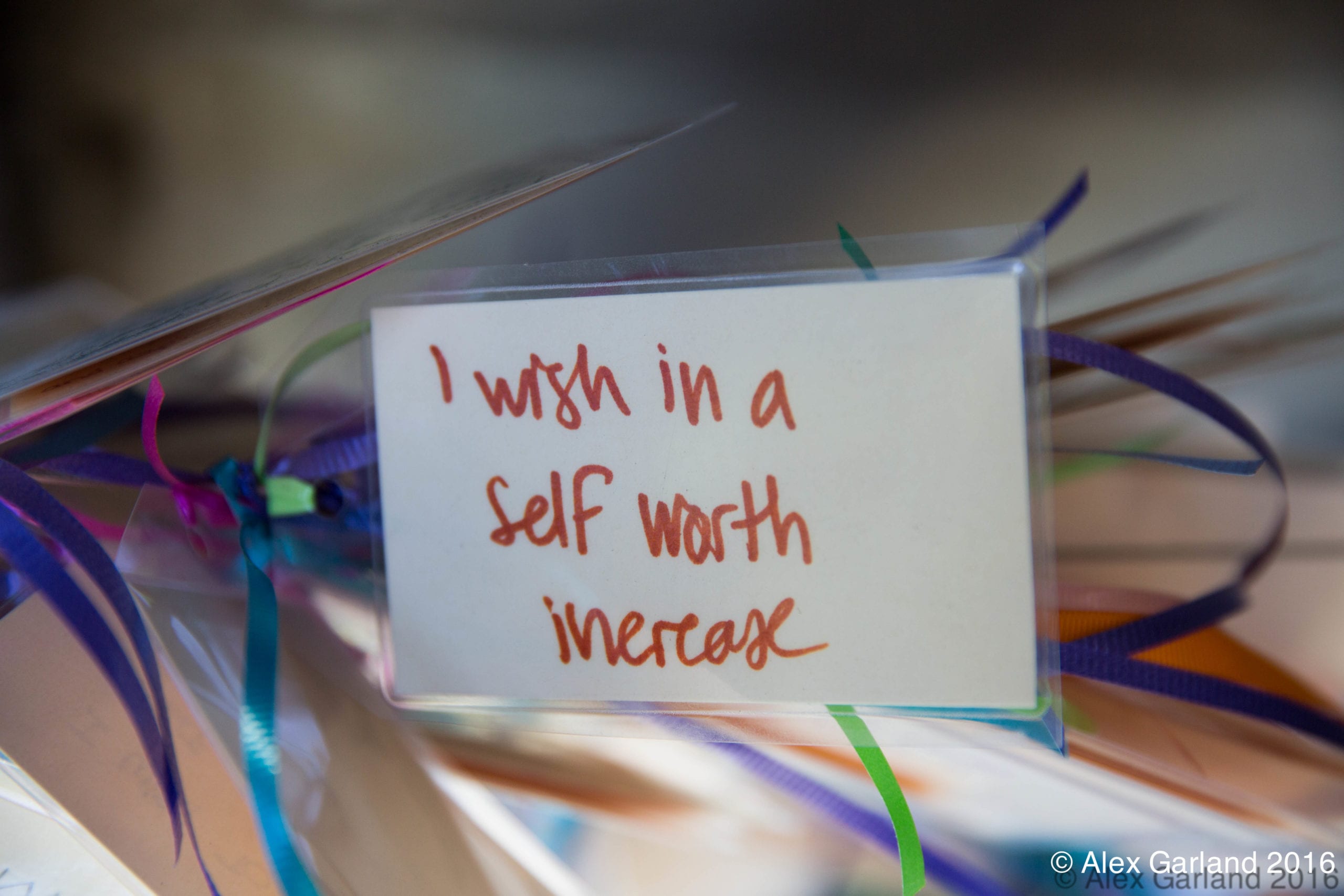 The Capitol Hill Wishing Tree | CHS Capitol Hill Seattle News