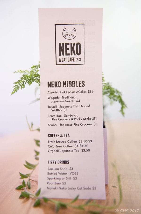 First look: Inside Capitol Hill’s first cat cafe | CHS Capitol Hill ...