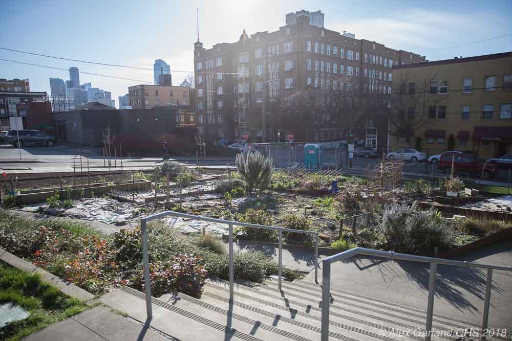 Work wraps up on Capitol Hill’s Summit Slope Park enhancements and ...