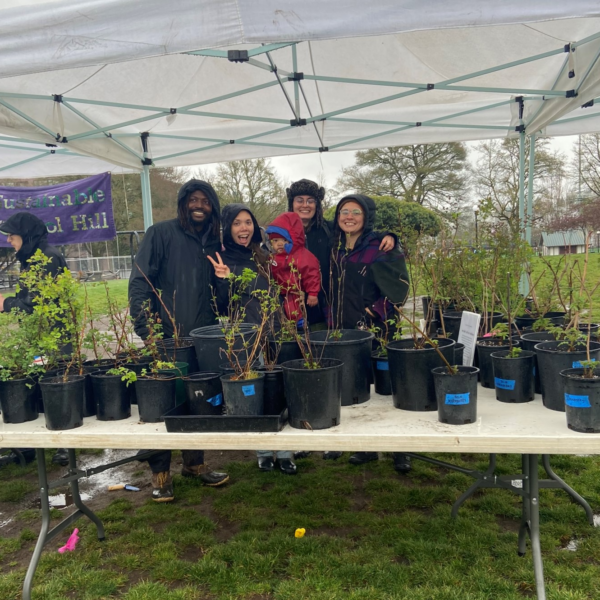 Along streets, sidewalks, and planting strips — planting the seeds of ...