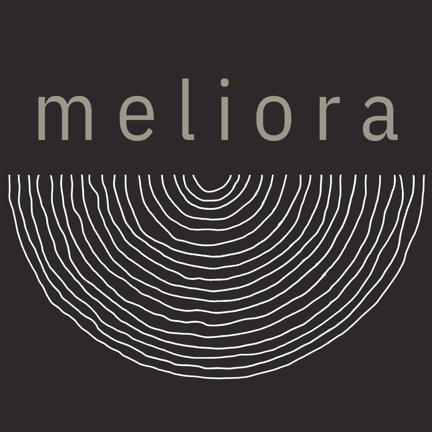 black+logo+-+meliora | CHS Capitol Hill Seattle News