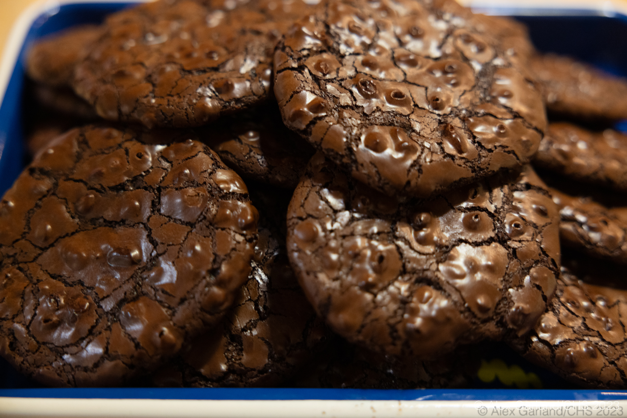 HelloRobin2023-2 | CHS Capitol Hill Seattle News