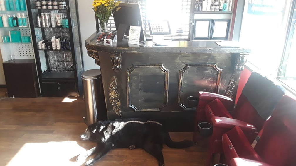 redchair15_17 | CHS Capitol Hill Seattle News