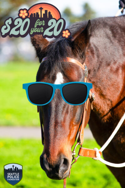 Seattle Police Foundation launches ‘$20 for your 20’ fundraising drive ...