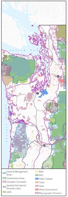 Pikes/Pines | A vote for Barred Owls, Capitol Hill ambassadors to the ...